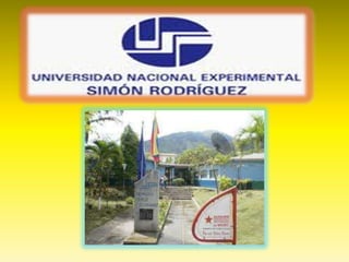 Simon rodriguez | PPT