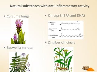 Curcumin in Chronic pain | PDF