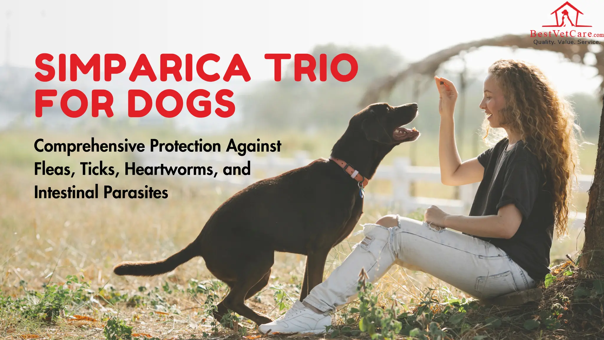 Simparica Trio for Dogs - Flea, Tick, Heartworm, and Worm Protection | PPT