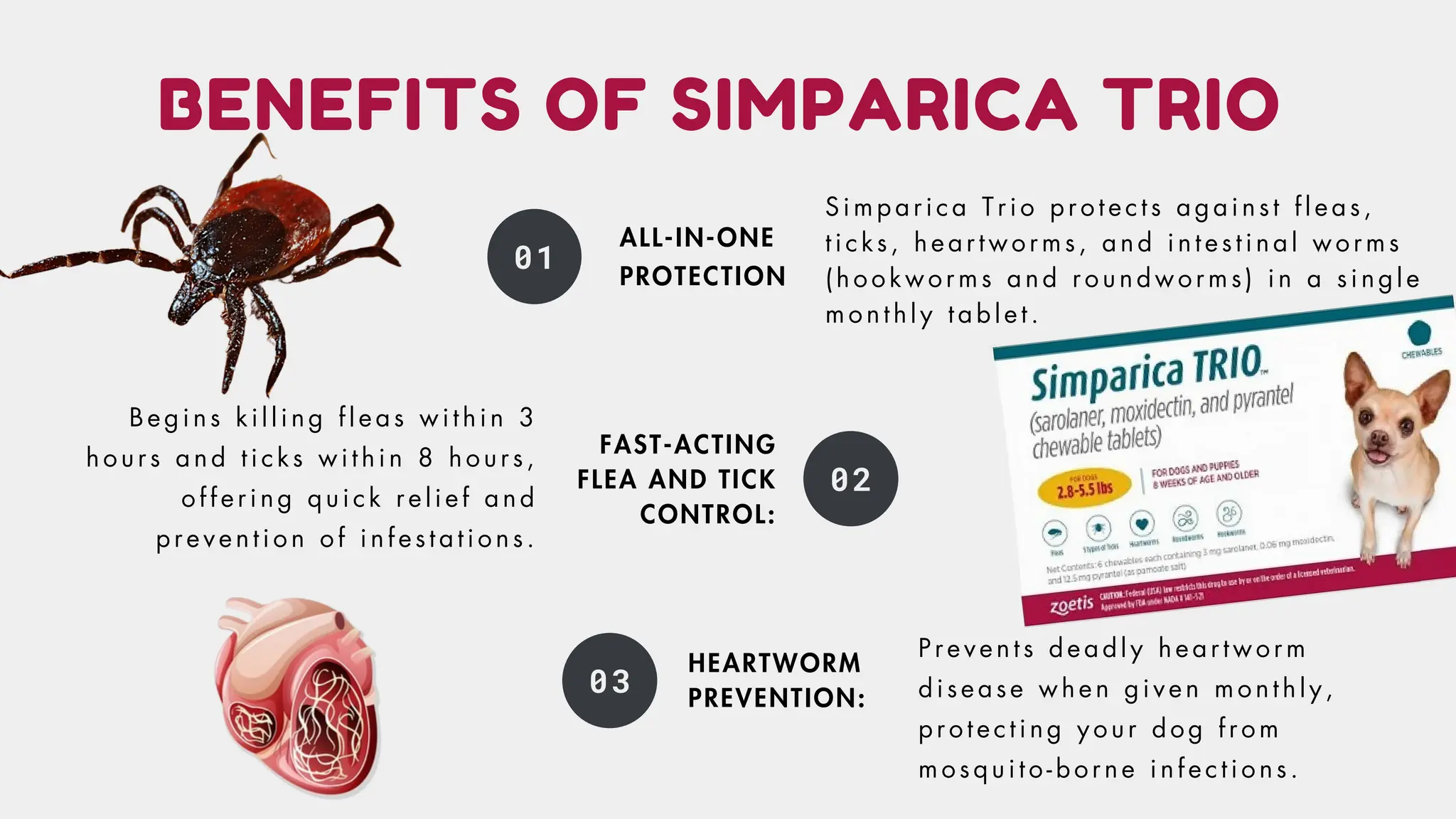 Simparica Trio for Dogs - Flea, Tick, Heartworm, and Worm Protection | PPT