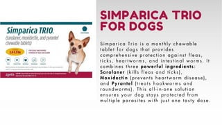 Simparica Trio for Dogs - Flea, Tick, Heartworm, and Worm Protection | PPT