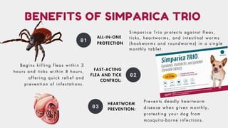 Simparica Trio for Dogs - Flea, Tick, Heartworm, and Worm Protection | PPT