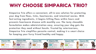 Simparica Trio for Dogs - Flea, Tick, Heartworm, and Worm Protection | PPT