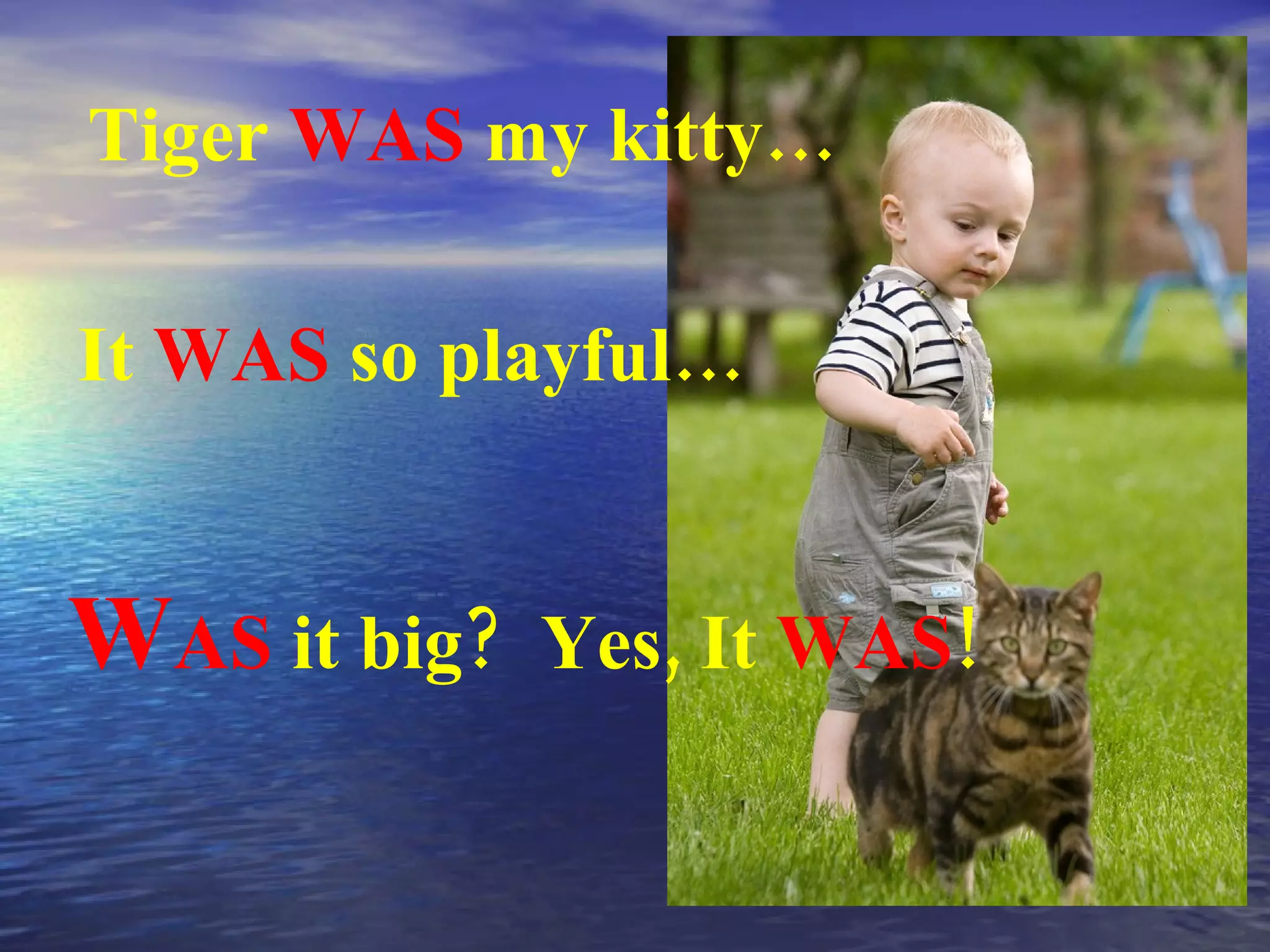 Simple Past Tense Be | PPT