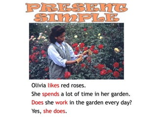 Simple present-ppt 2001 | PPT