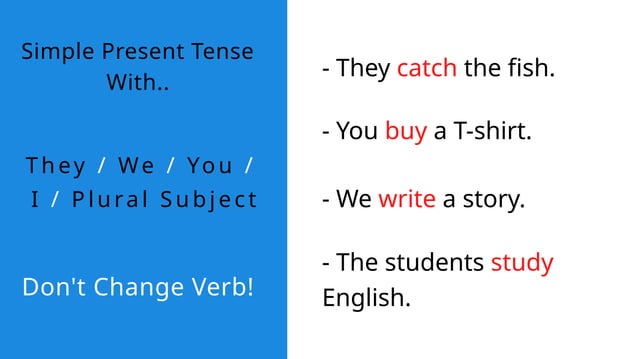 Simple-Present-Tense-PowerPoint3333.pptx