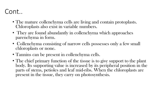Simple and complex tissue (permanent tissue) | PDF | Biological ...