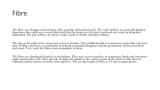 Simple and complex tissue (permanent tissue) | PDF