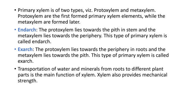 Simple and complex tissue (permanent tissue) | PDF | Biological ...