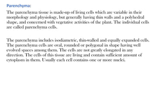 Simple and complex tissue (permanent tissue) | PDF