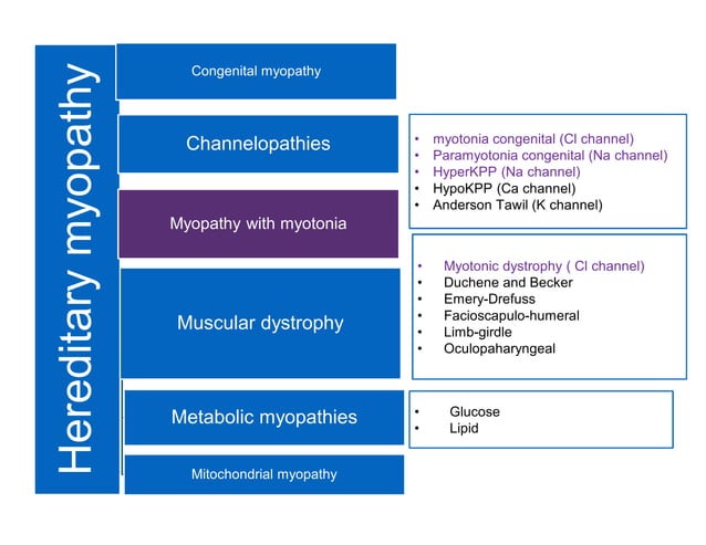 4 Steps simple approach myopathy | PPT