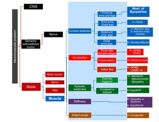 4 Steps simple approach myopathy | PPT