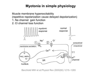 4 Steps simple approach myopathy | PPT