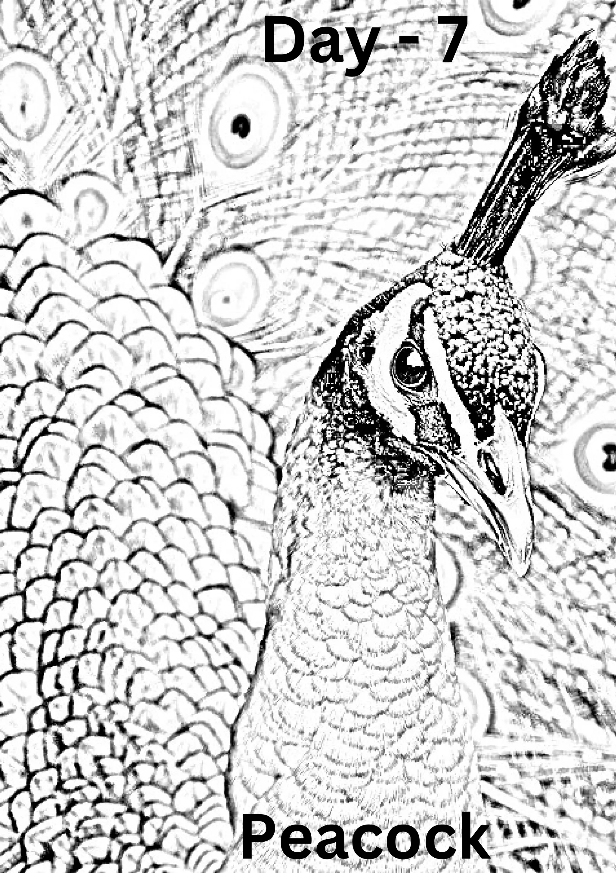 Simple Coloring Pages Worksheet For 15 Birds.pdf