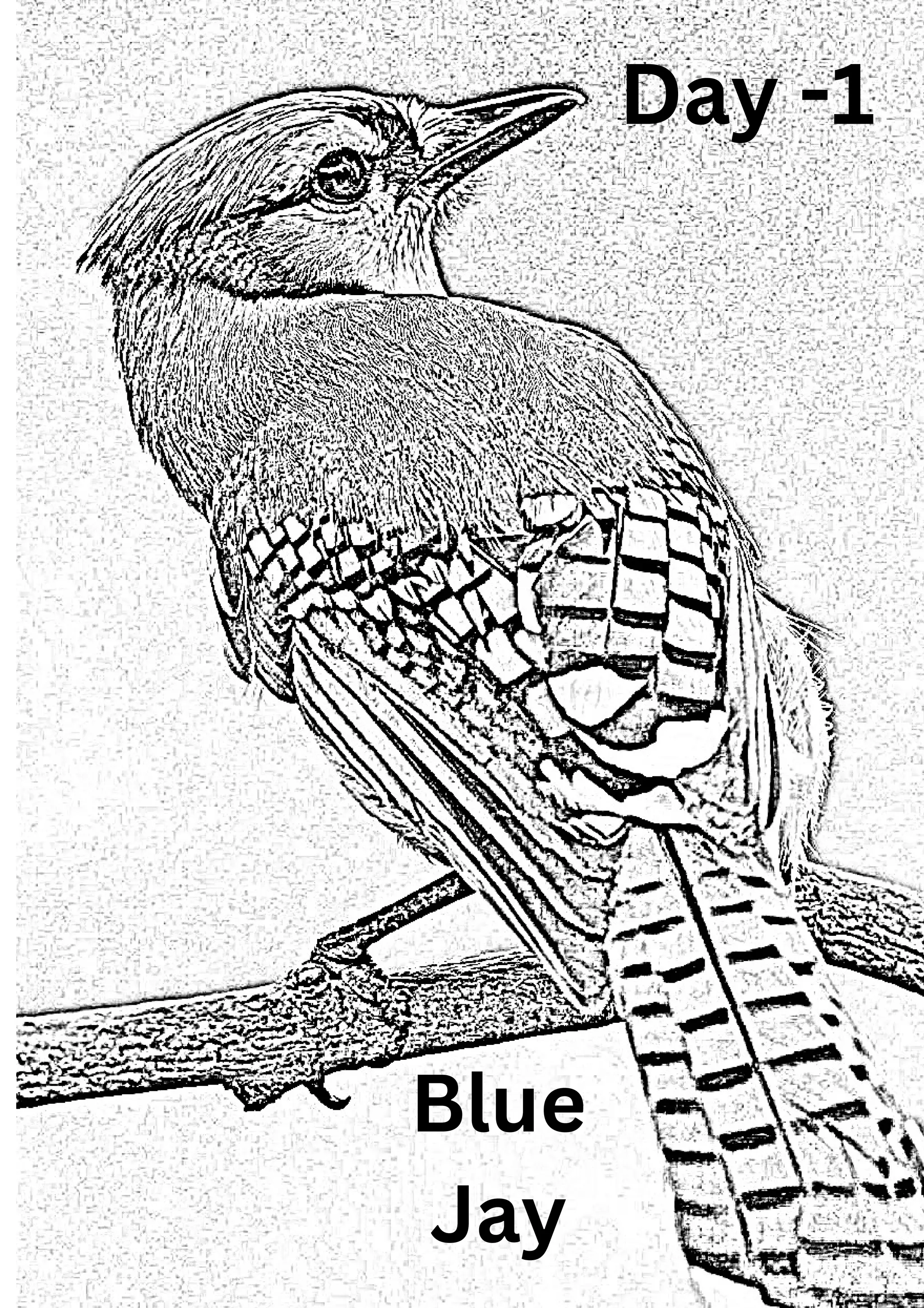 Simple Coloring Pages Worksheet For 15 Birds.pdf