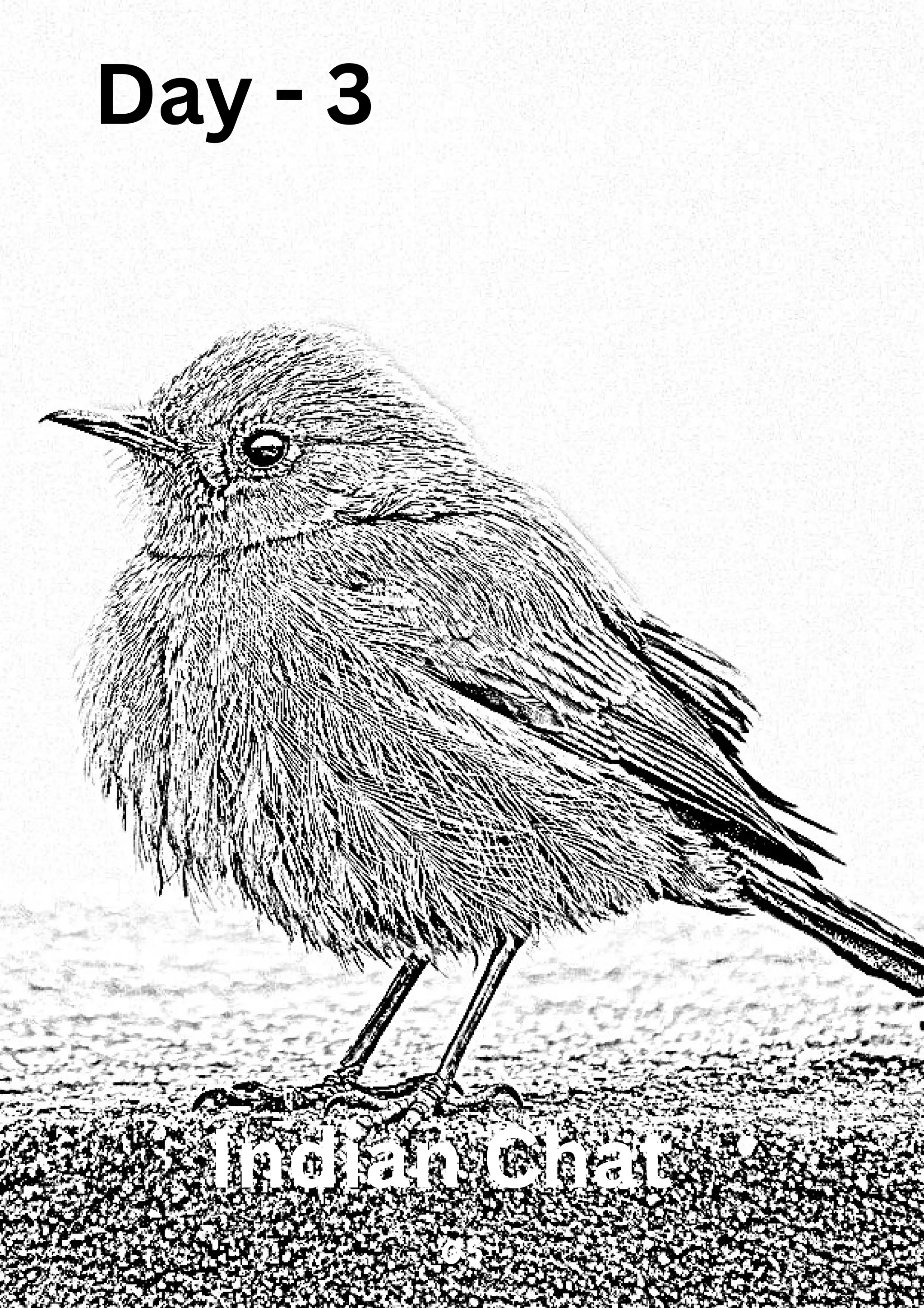 Simple Coloring Pages Worksheet For 15 Birds.pdf