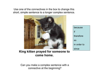 Simple complex sentences adapted | PPT