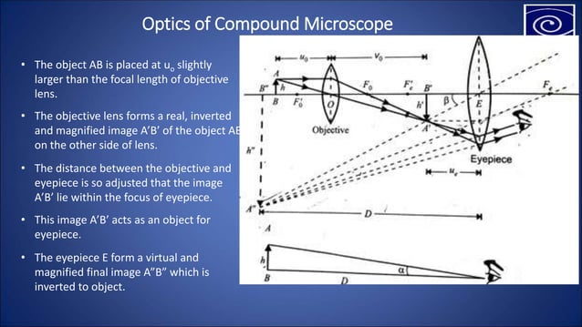 Simple & compound microscope PPT | PPTX | Photography | Arts and Crafts