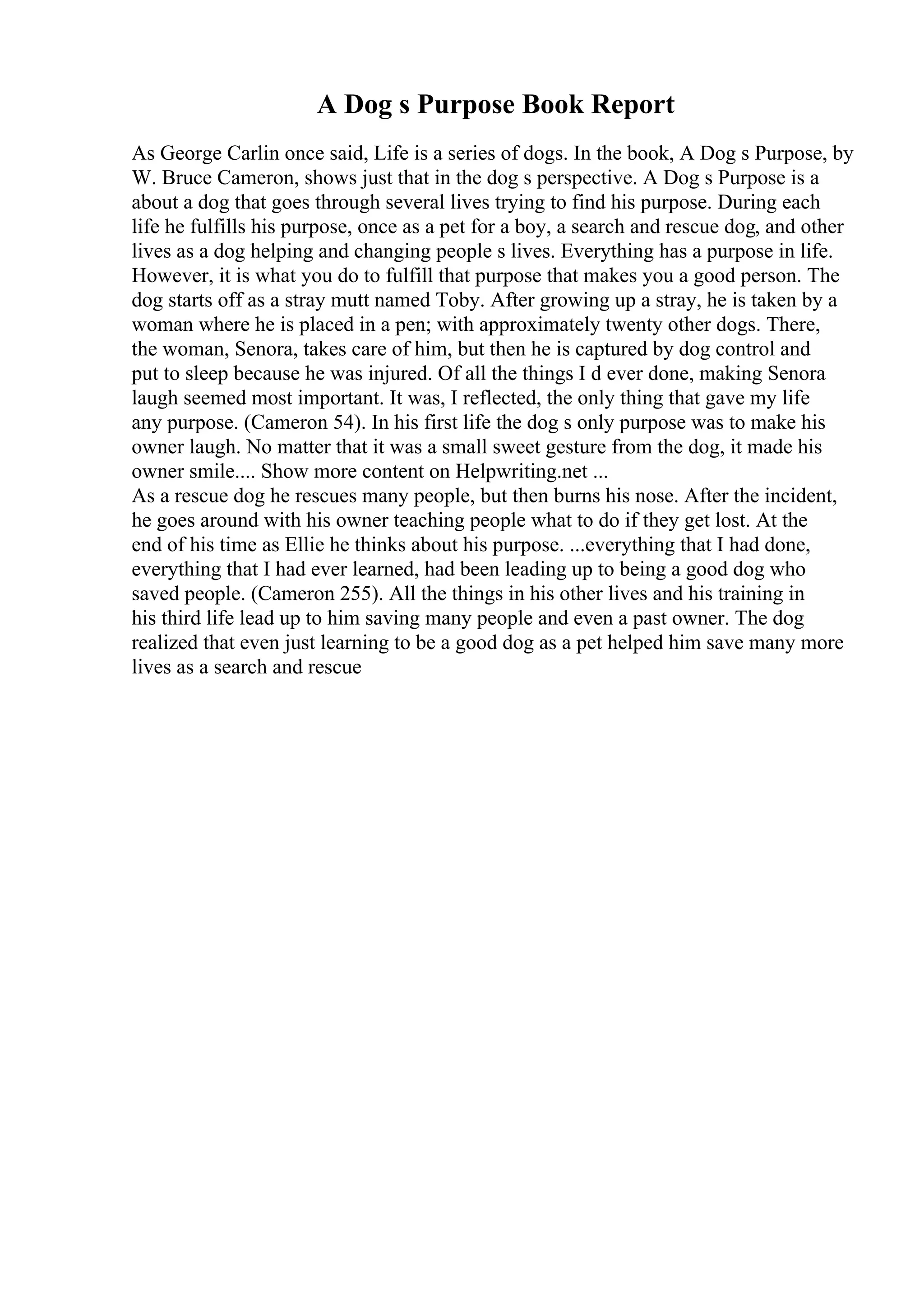 Simple Essay Example.pdf