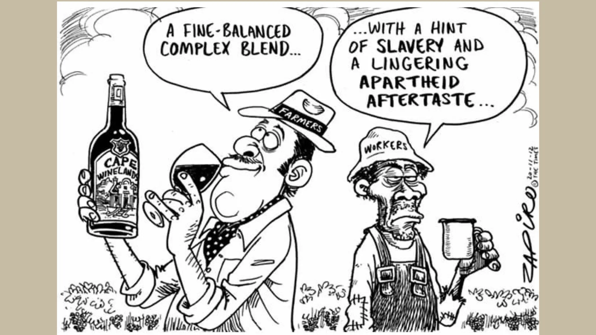 South African History: Apartheid1940s to 1960 | PPTX