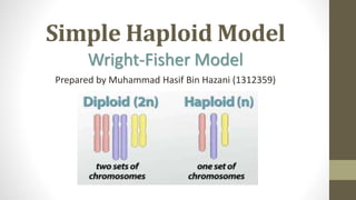 Simple haploid | PPT