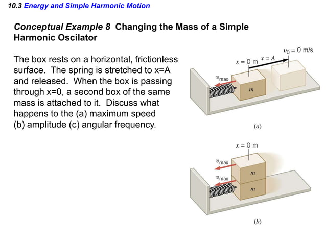 Simple harmonic motion and elasticity | PPTX