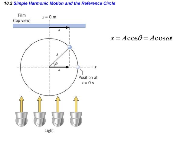 Simple harmonic motion and elasticity | PPTX