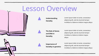 Simple Illustrated Heredity Genetics Slides.pptx
