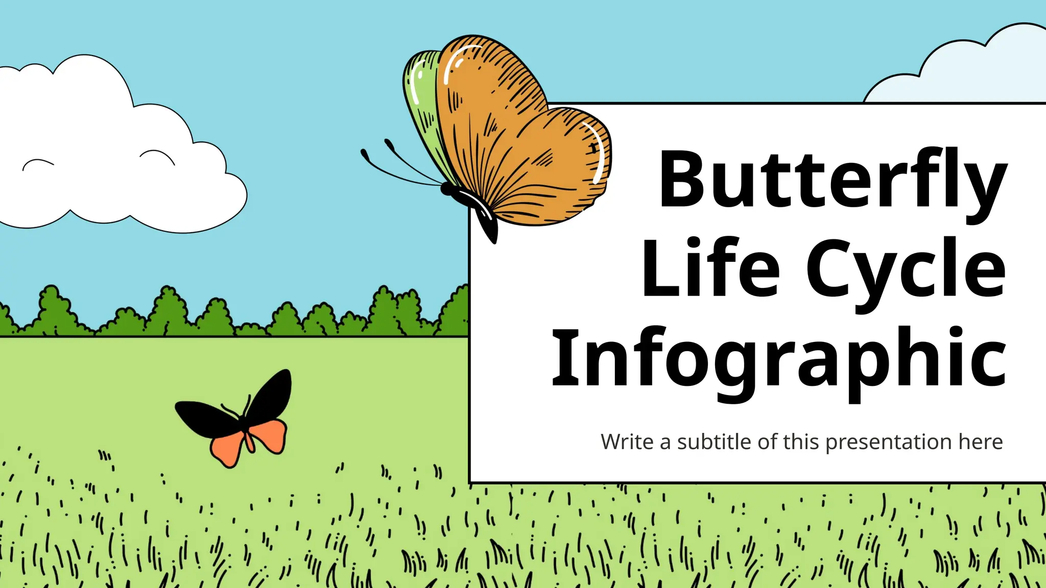 Simple Illustrative Butterfly Life Cycle Infographic.pptx