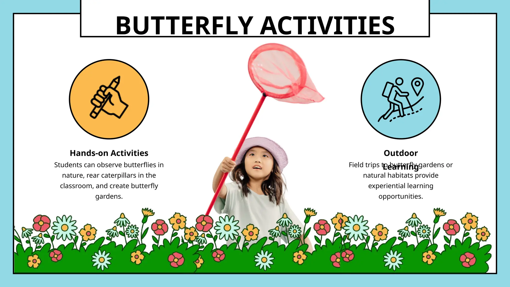 Simple Illustrative Butterfly Life Cycle Infographic.pptx