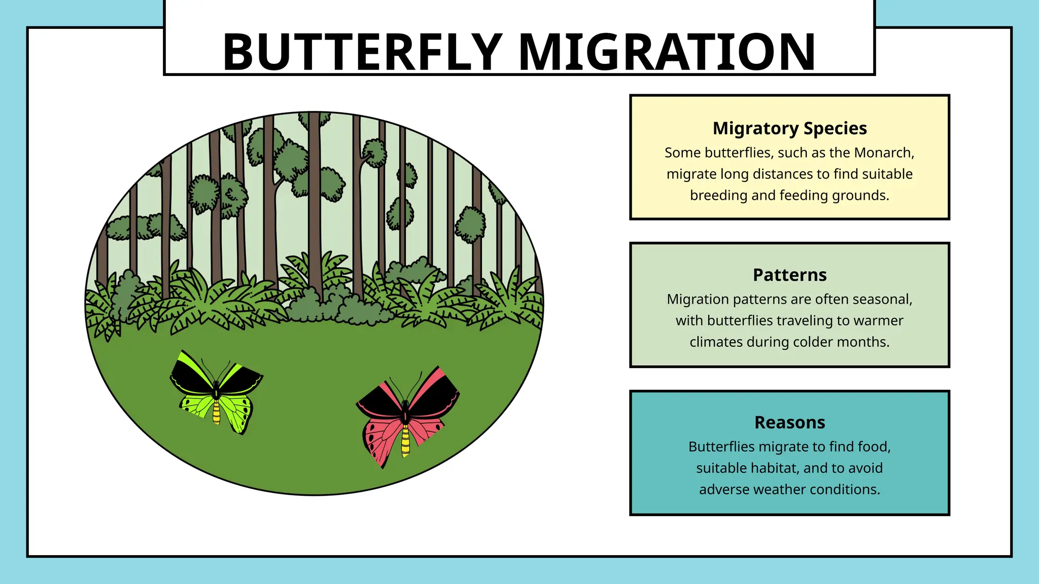 Simple Illustrative Butterfly Life Cycle Infographic.pptx