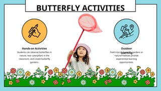 Simple Illustrative Butterfly Life Cycle Infographic.pptx ...