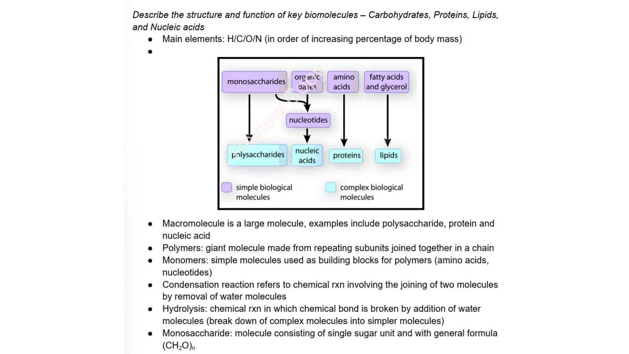 Simple Introduction to Biochemistry - carbohydrates.pptx