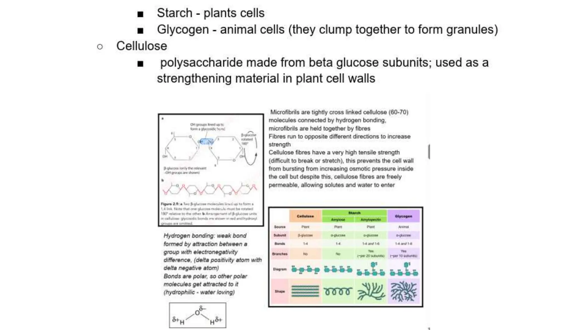 Simple Introduction to Biochemistry - carbohydrates.pptx