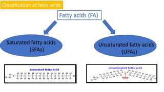 simple lipid biochemistry by dina aborya.pdf