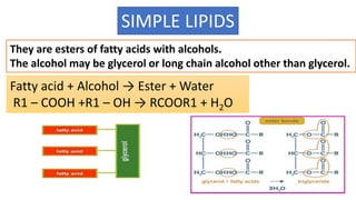 simple lipid biochemistry by dina aborya.pdf