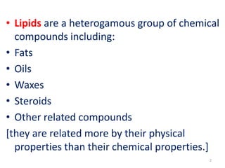 Simple Lipid Chemical Structure