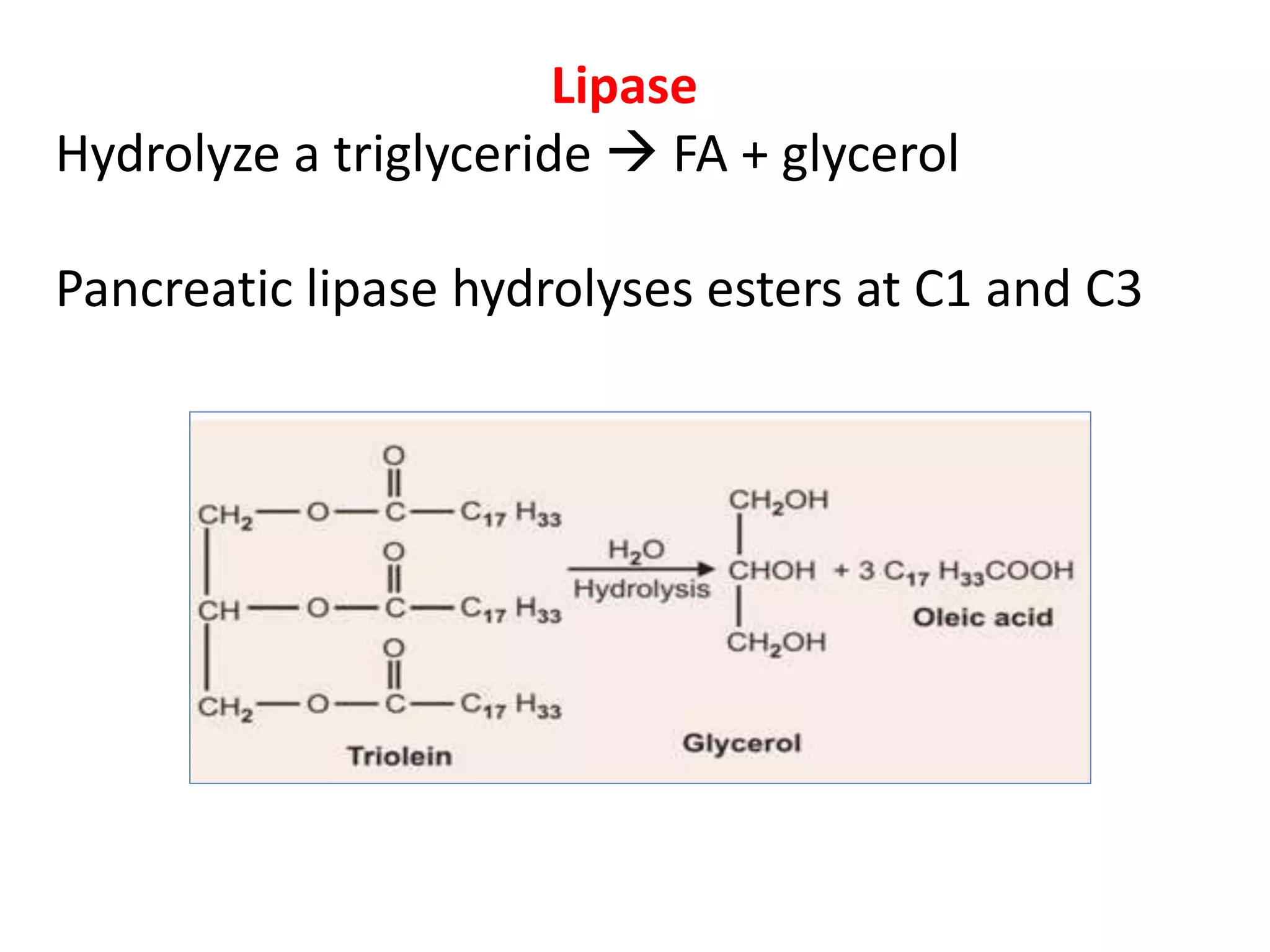 Simple lipids | PPTX