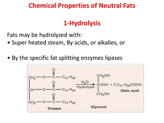 Simple lipids | PPTX