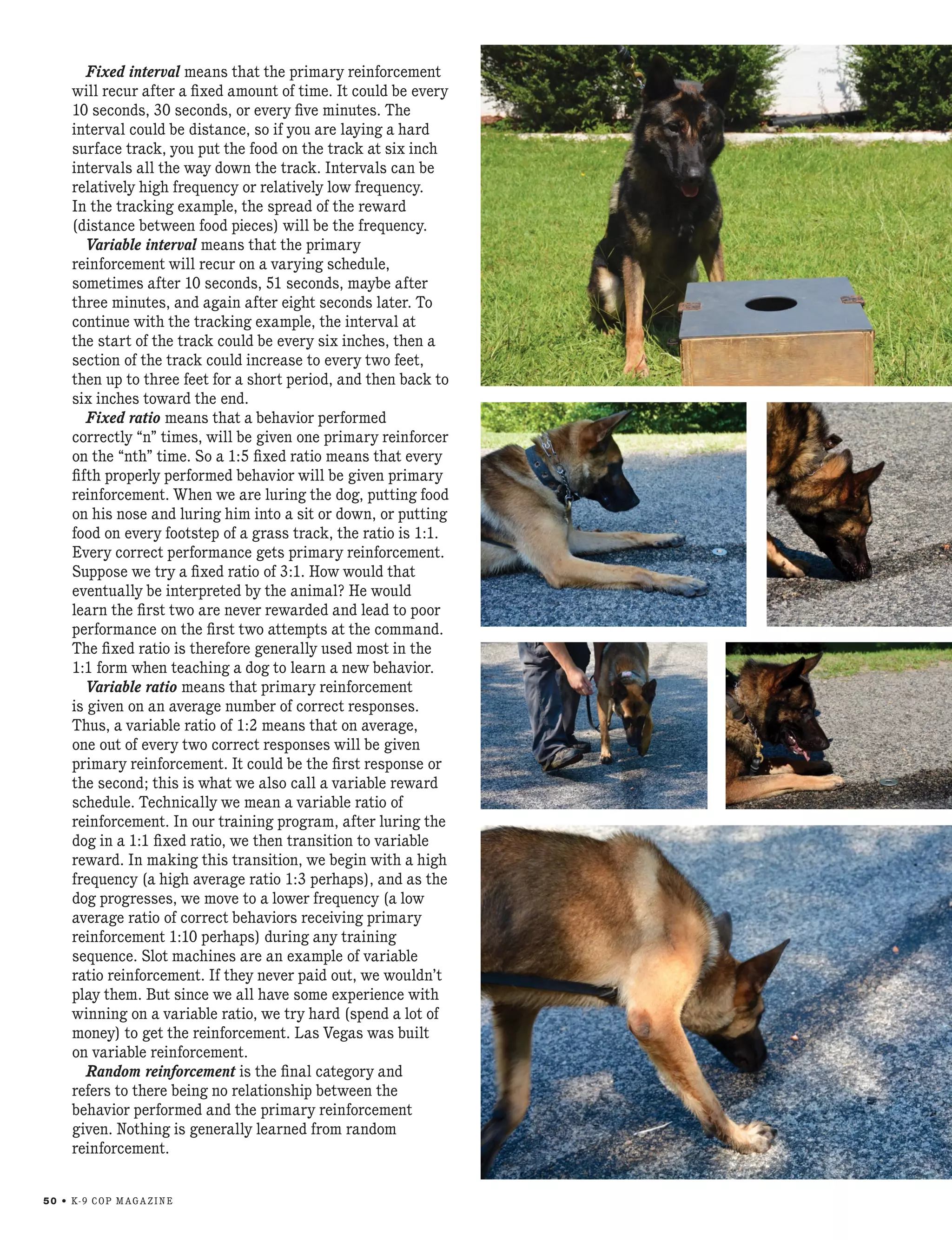 A Simple Lure Reward Training System | PDF