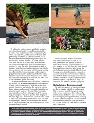 A Simple Lure Reward Training System | PDF