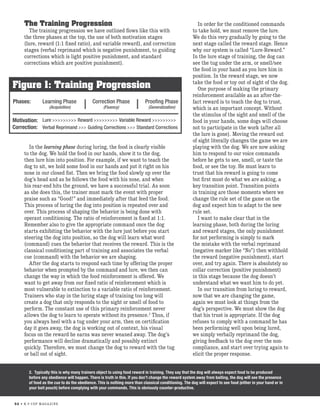 A Simple Lure Reward Training System | PDF