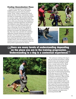 A Simple Lure Reward Training System | PDF