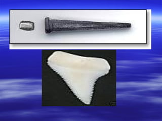 Simple Machines | PPS