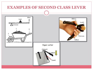 Simple machines by Saliha Rais, for grade 5. | PPTX
