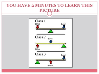 Simple machines by Saliha Rais, for grade 5. | PPTX