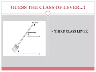 Simple machines by Saliha Rais, for grade 5. | PPTX