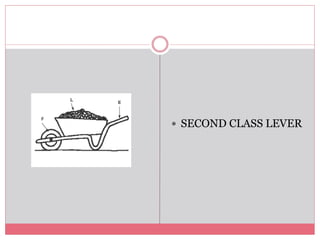 Simple machines by Saliha Rais, for grade 5. | PPTX