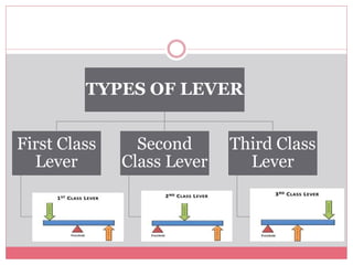 Simple machines by Saliha Rais, for grade 5. | PPTX