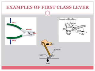 Types Of Levers Simple Machines Examples